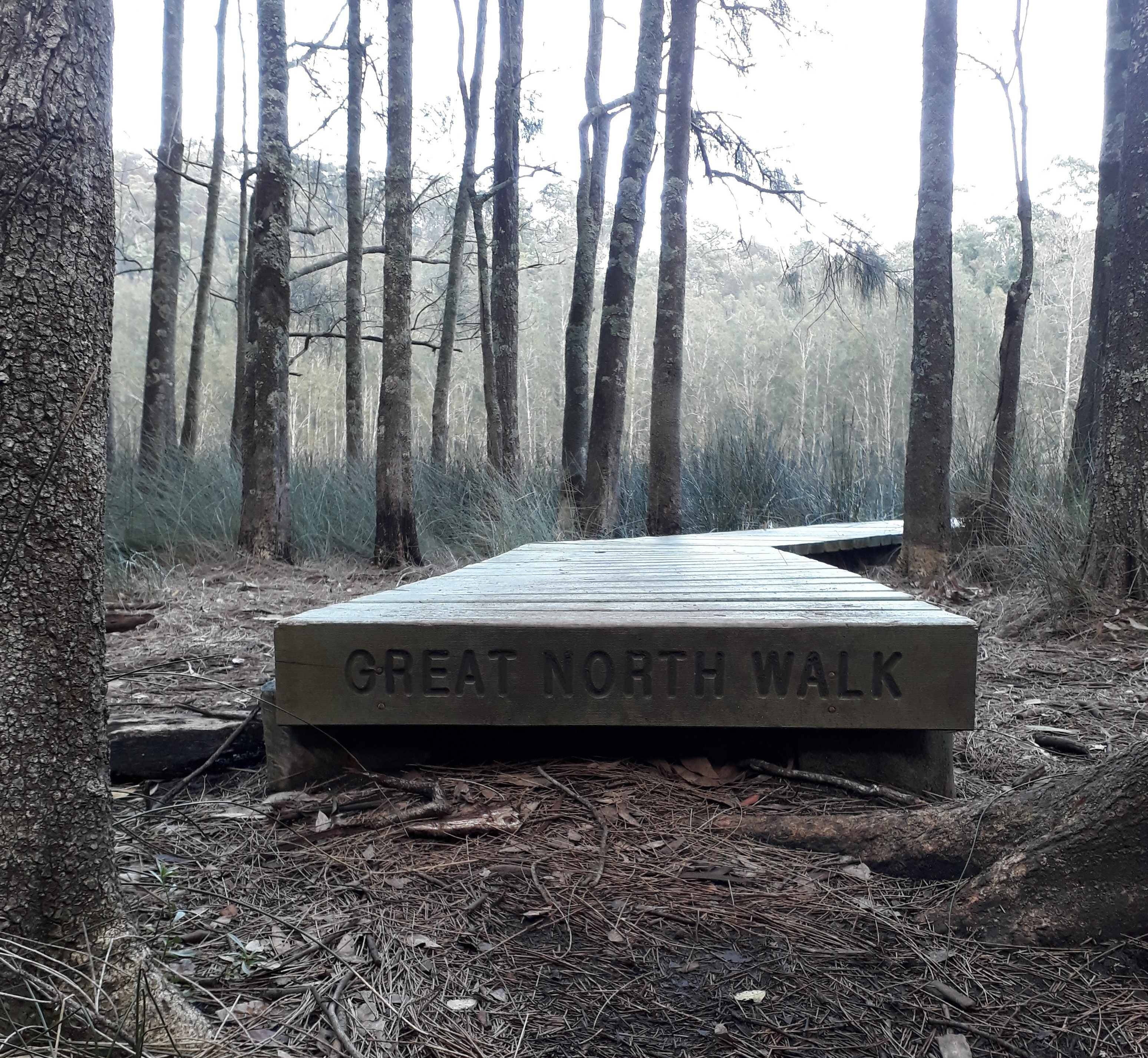 OUR TOP 4 FAVOURITE BUSHWALKING TRAILS