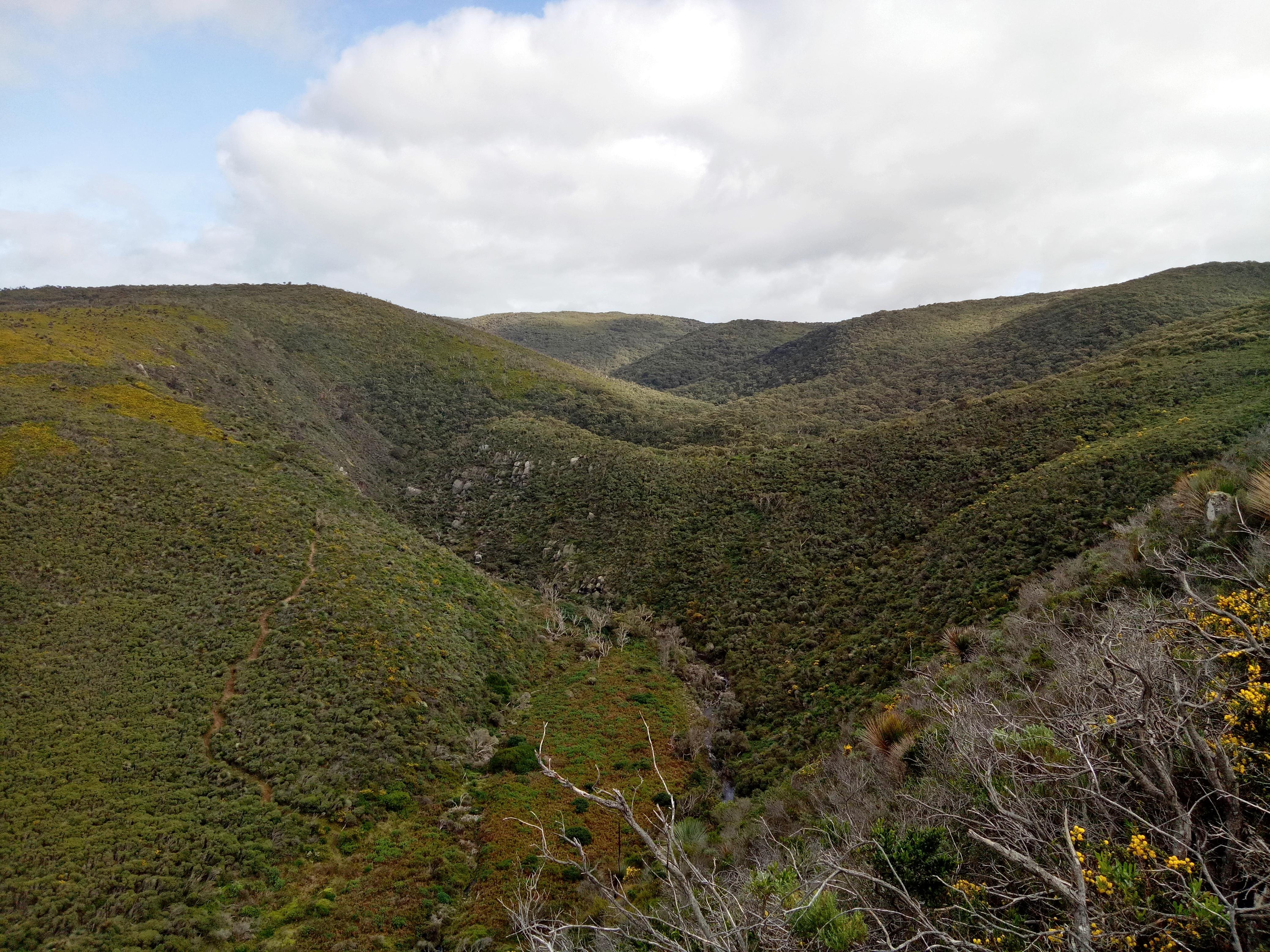 OUR TOP 4 FAVOURITE BUSHWALKING TRAILS
